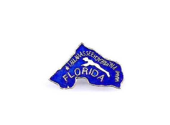 Vintage Florida State Hat/lapel Pin | Etsy