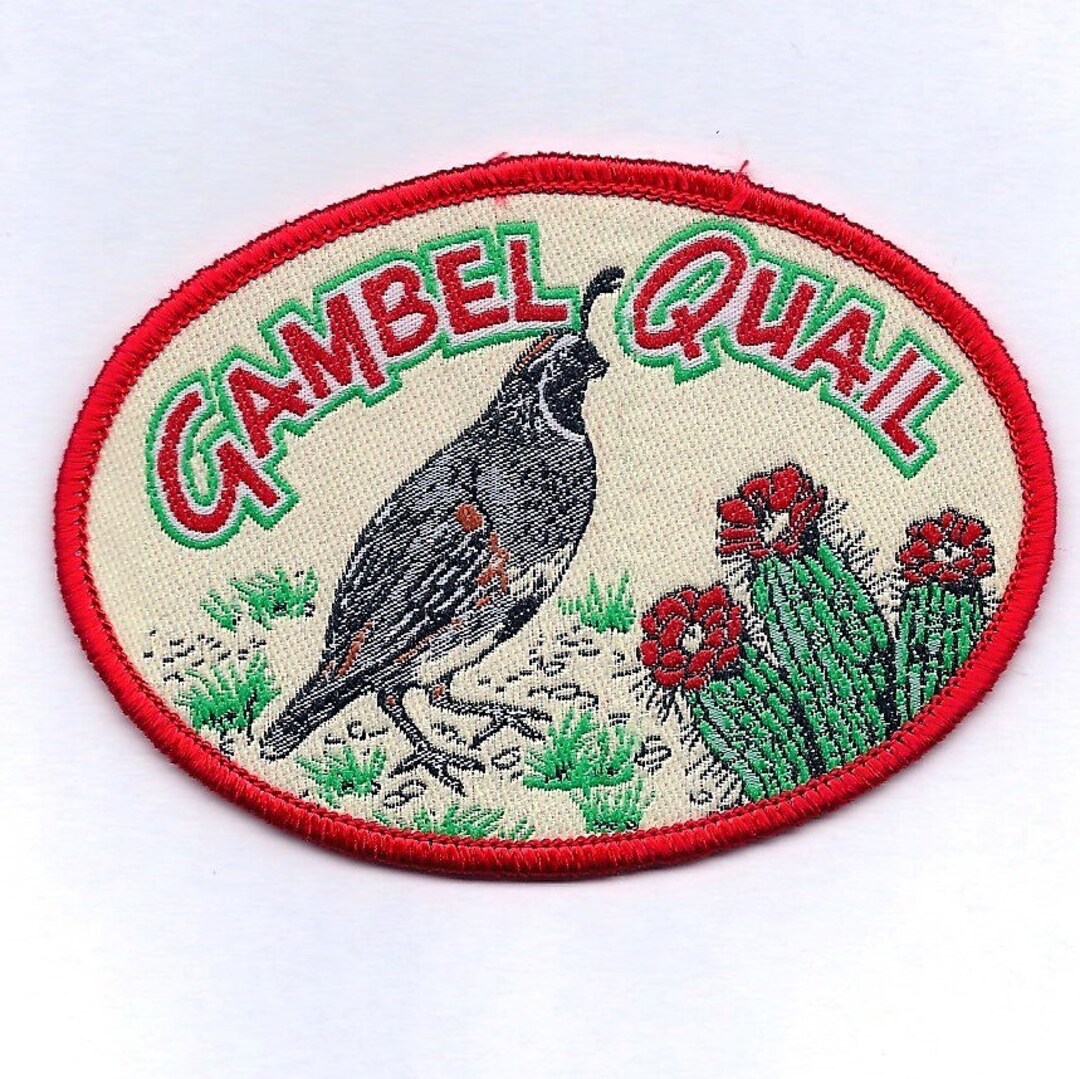 Vintage Gambel Quail Arizona Patch - Etsy