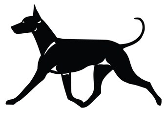 Xoloitzcuintle on Board Car Window Sticker Xolo Dog Sign Decal Mexican ...