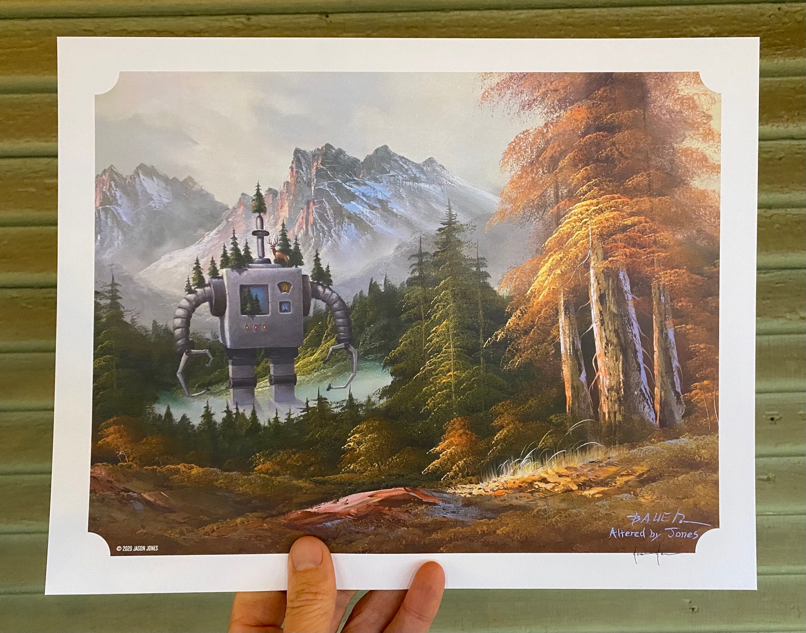 11 by 14 forest Bot Altered Thrift - Etsy