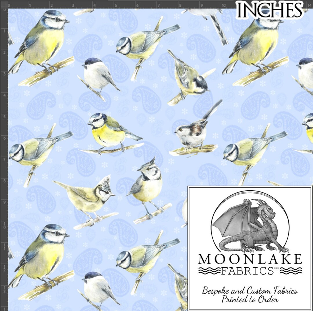 Tit Birds on Powder Blue, Blue-tits Great-tit Willow-tit Coal and ...
