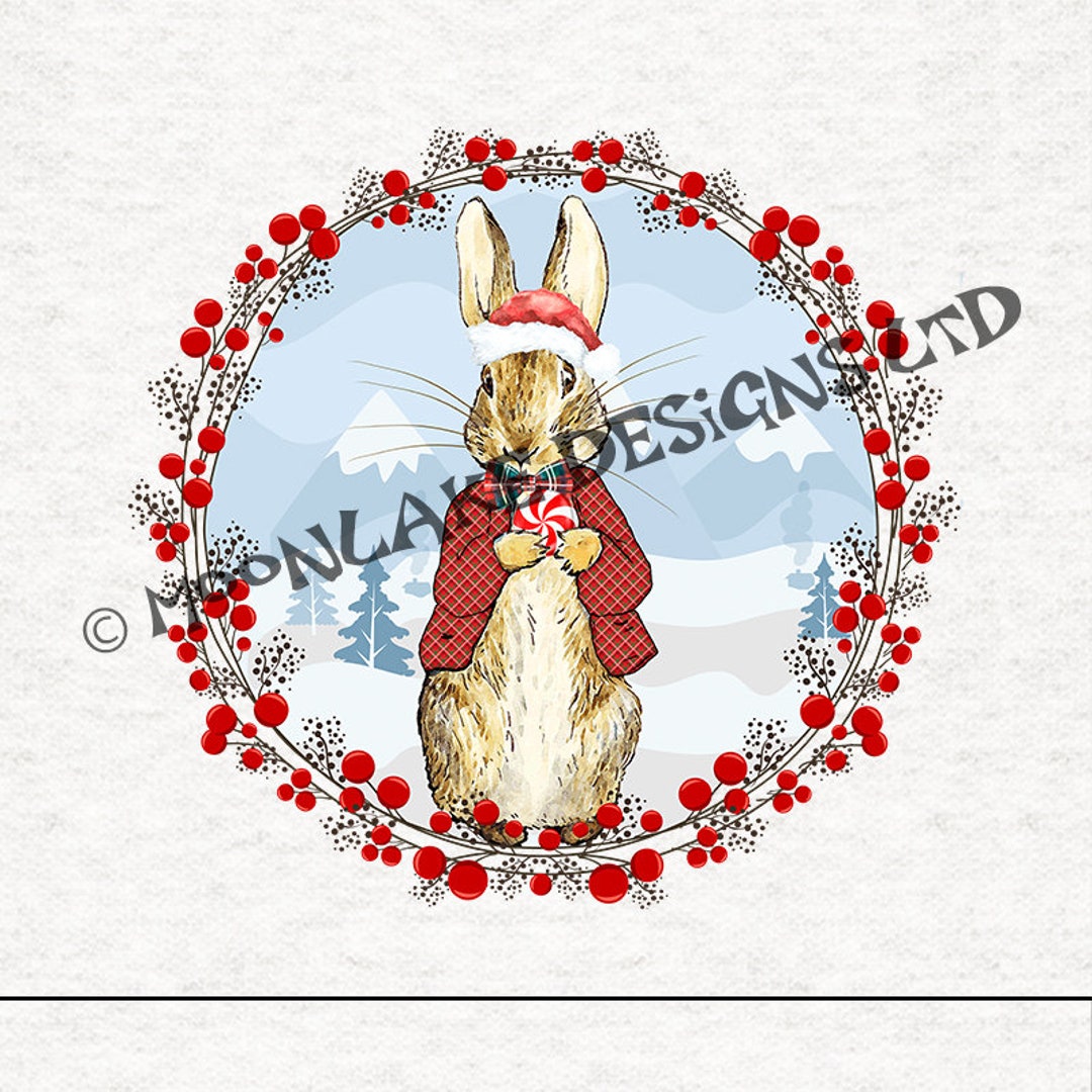 Peter Rabbit Winter Circle, Fabric Panel | Quilting | Sewing | Craft ...