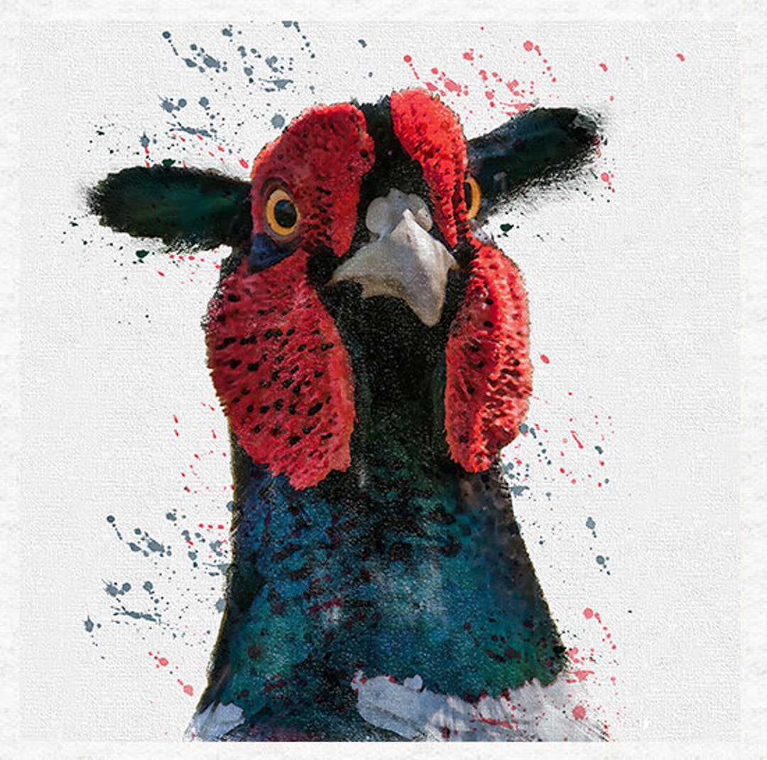 Pheasant Looking Funny (watercolour Splatter Original) -fabric Craft ...