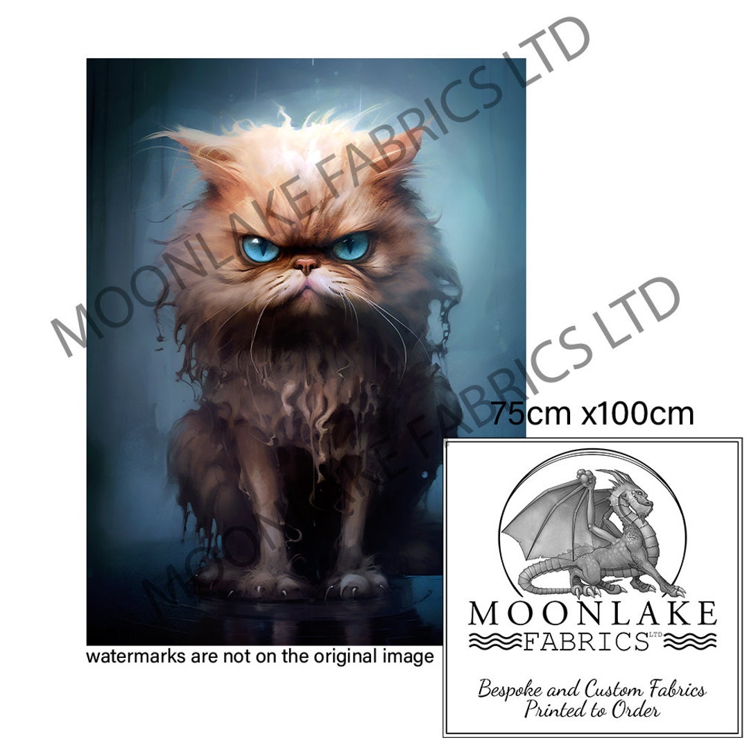 Grumpy Wet Soggy Cat, He's Not Amused 75x100cm 100% Light Quality ...