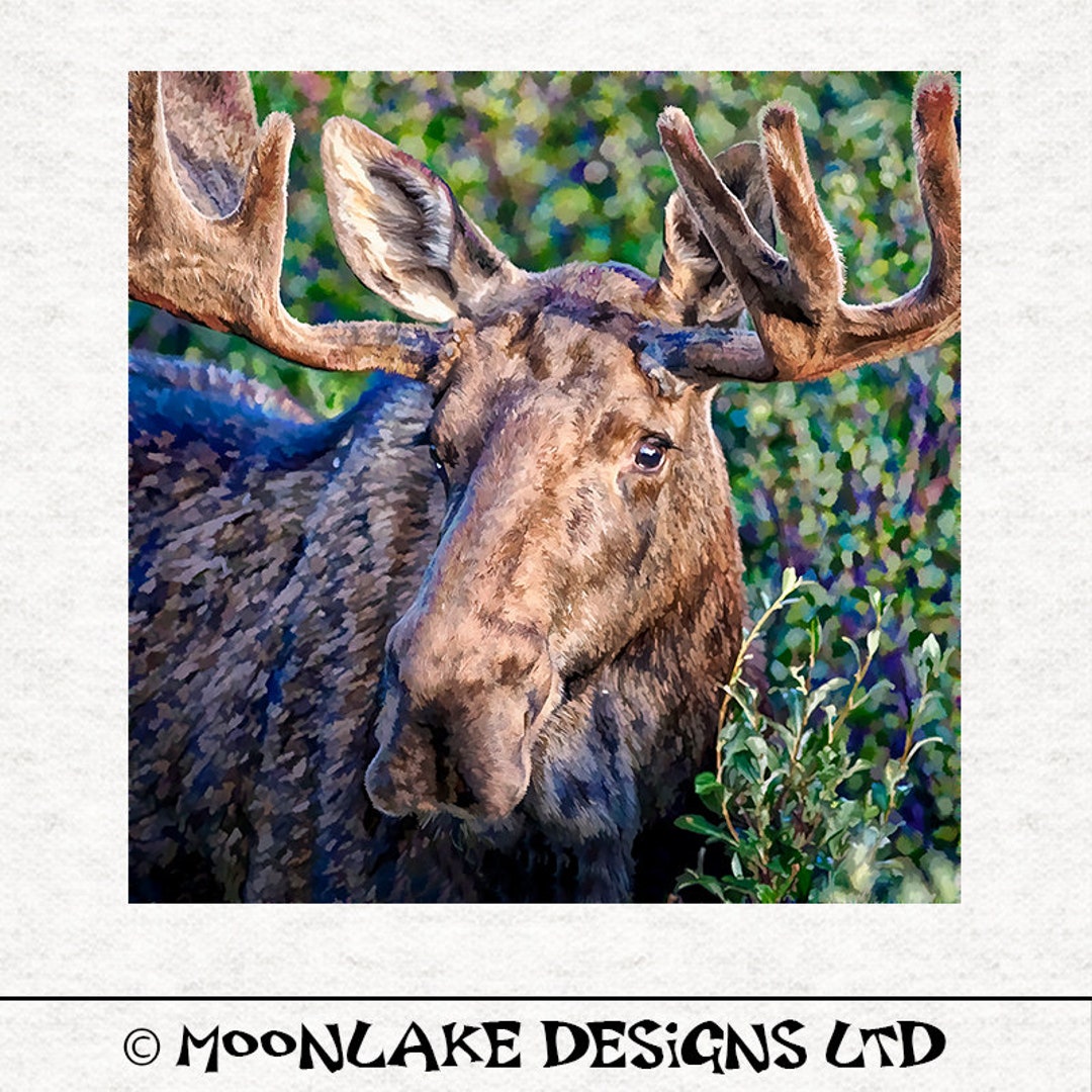 Moose Art, Fabric Panel | Fabric Craft Panels in 100% Cotton or ...