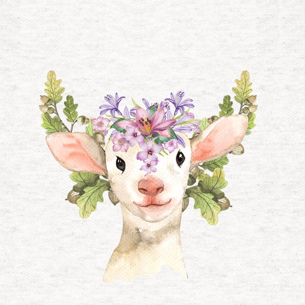 Spring Lamb - Etsy