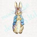 Peter Rabbit | Upholstery | Sewing | Craft | Printed Fabric Panels ...