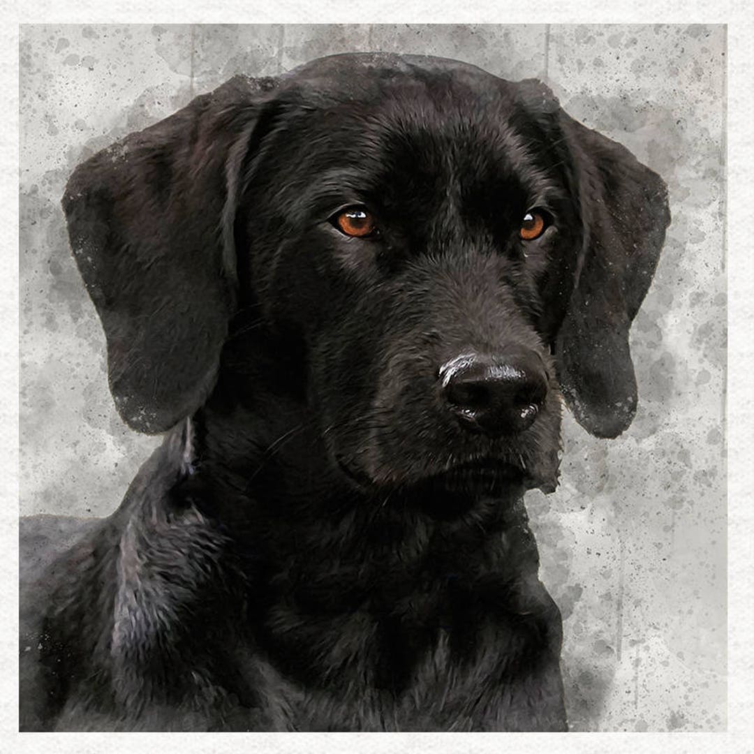 Black Labrador Portrait, Watercolour Splatter |fabric Craft Panels in ...