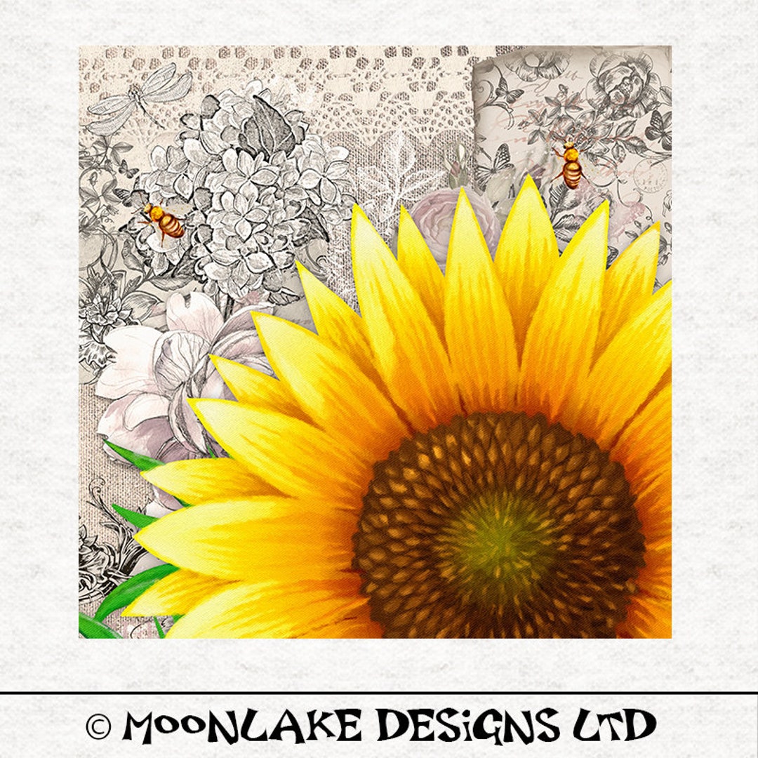 Sunflower on Chabi Chic Background, Watercolor Painted Print |quilting ...