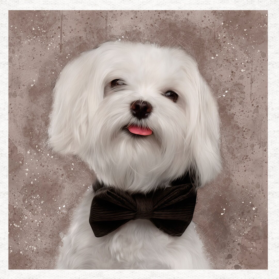 Maltese Dog With Dicky Bow Tie... Watercolour Print | Upholstery ...