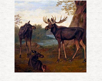 Deer & Moose Sipping Drink by Fireplace Fabric Panel - Etsy