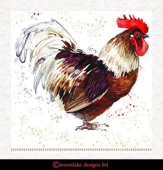 Scots Dumpy Chicken. fabric Craft Panels in 100% Cotton or | Etsy UK