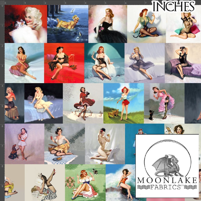 Fabrics With Pin Ups - Etsy UK