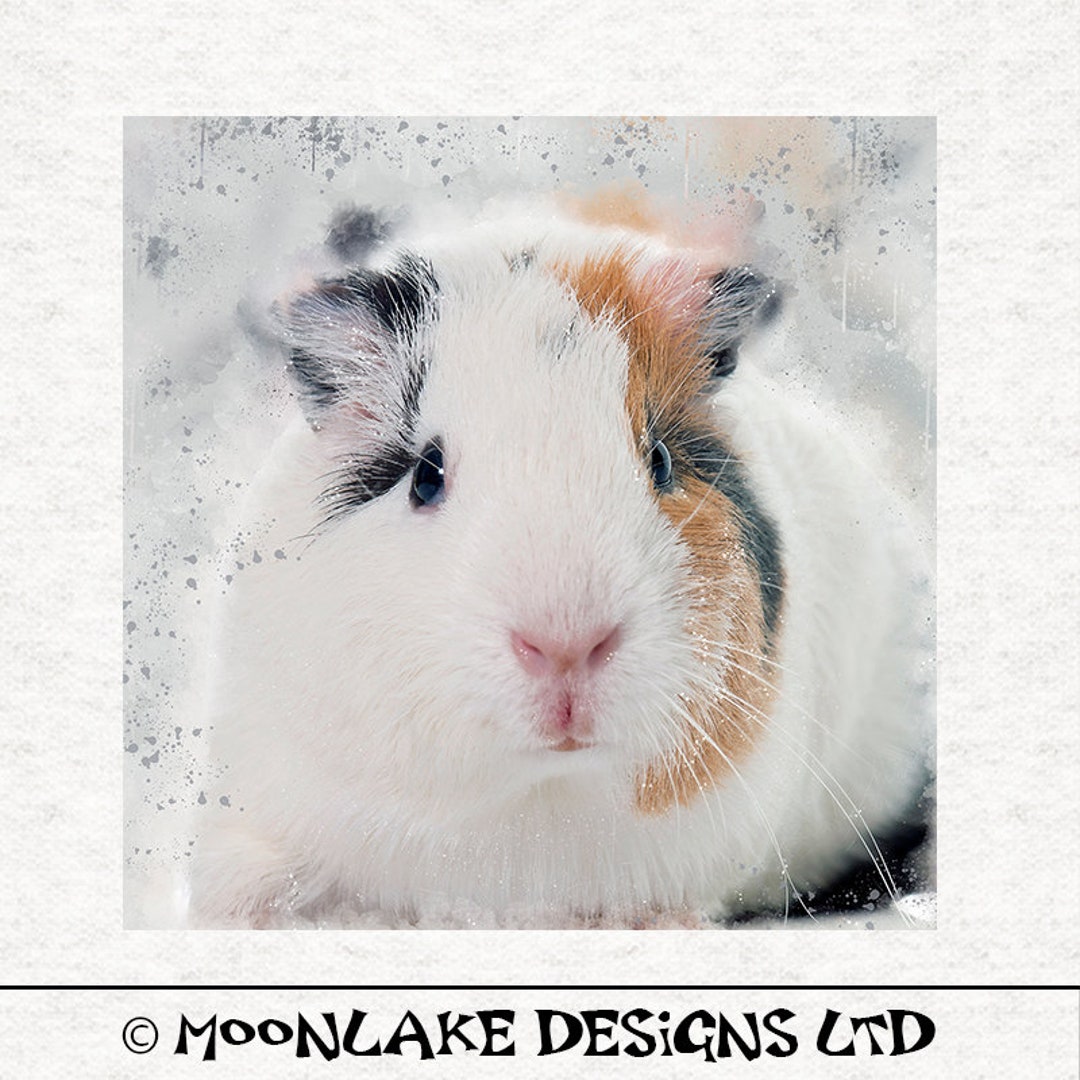 Guinea Pig, Grunge .fabric Craft Panels 100% Cotton or Polyester - Etsy