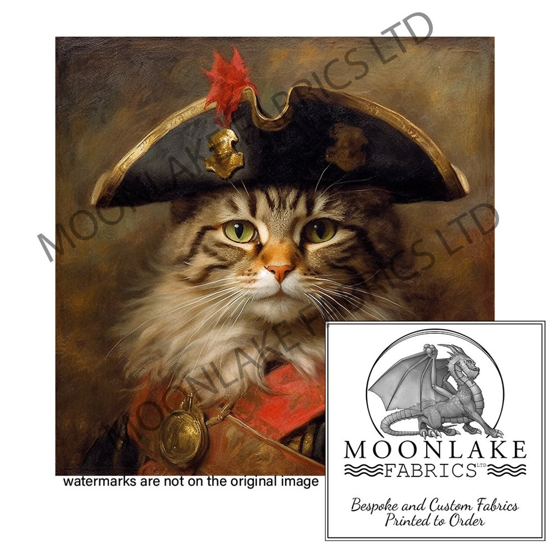 Pirate Cat, Barnacle Rembrandt With Scratches and Crack Effects 100% ...