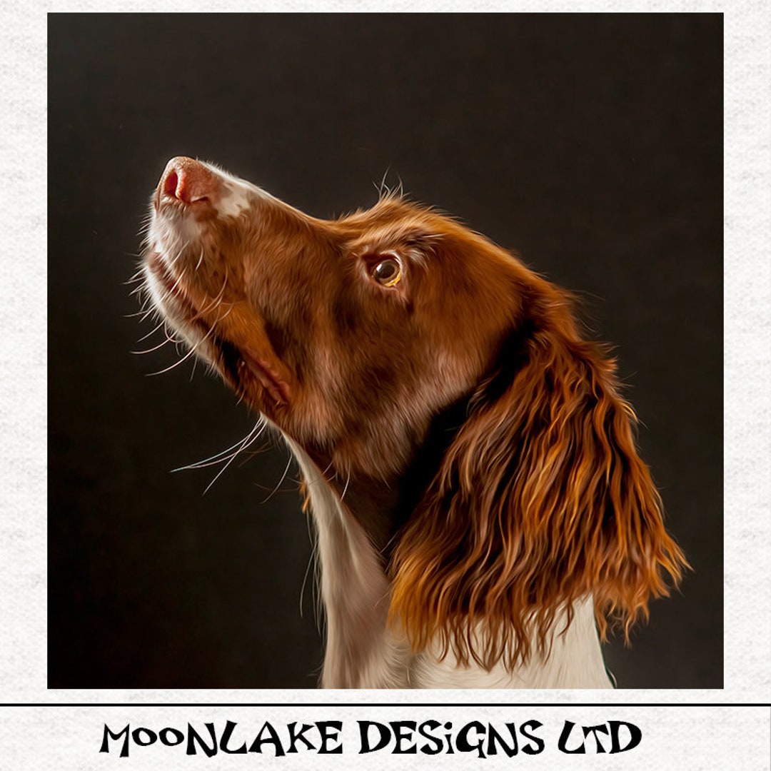 English Springer Spaniel Fabric Craft Panels in 100% Cotton or ...