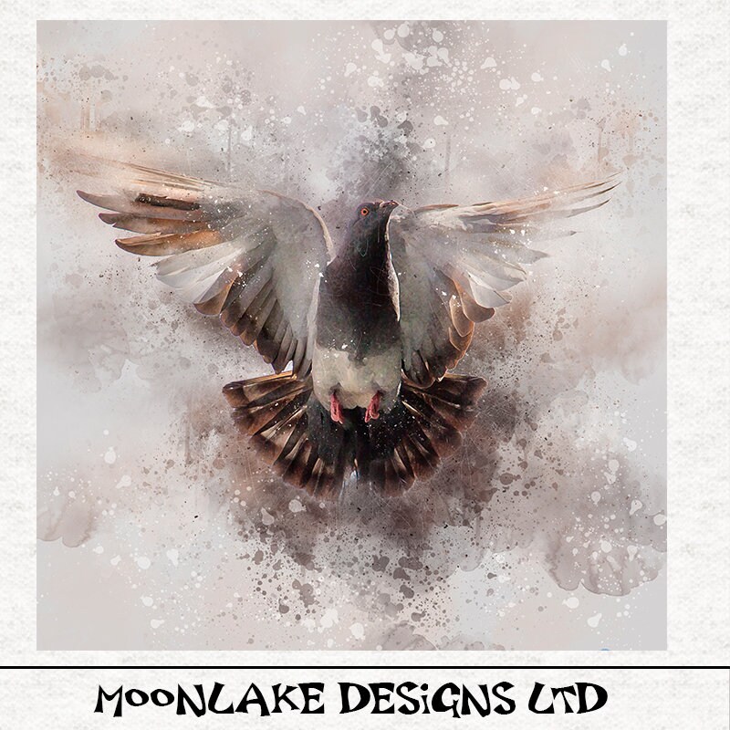 Pigeon in Flight, Grunge Splatter | Fabric Craft Panels 100% Cotton or ...