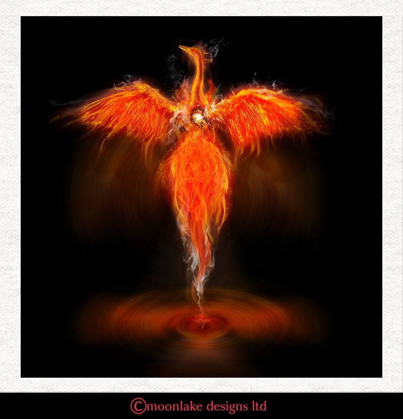 Phoenix Fantasy Art Fabric Fabric Craft Panels in 100% Cotton | Etsy UK