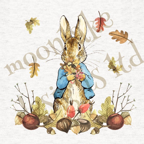 Peter Rabbit Print Fabric - Etsy