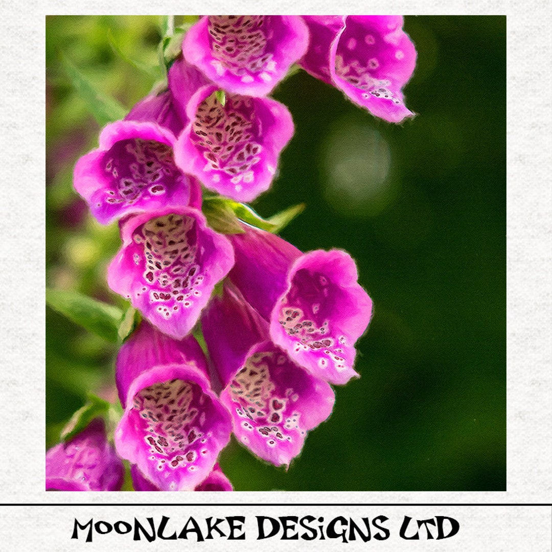 Foxglove Watercolour Print Fabric | Upholstery | Sewing | Craft ...