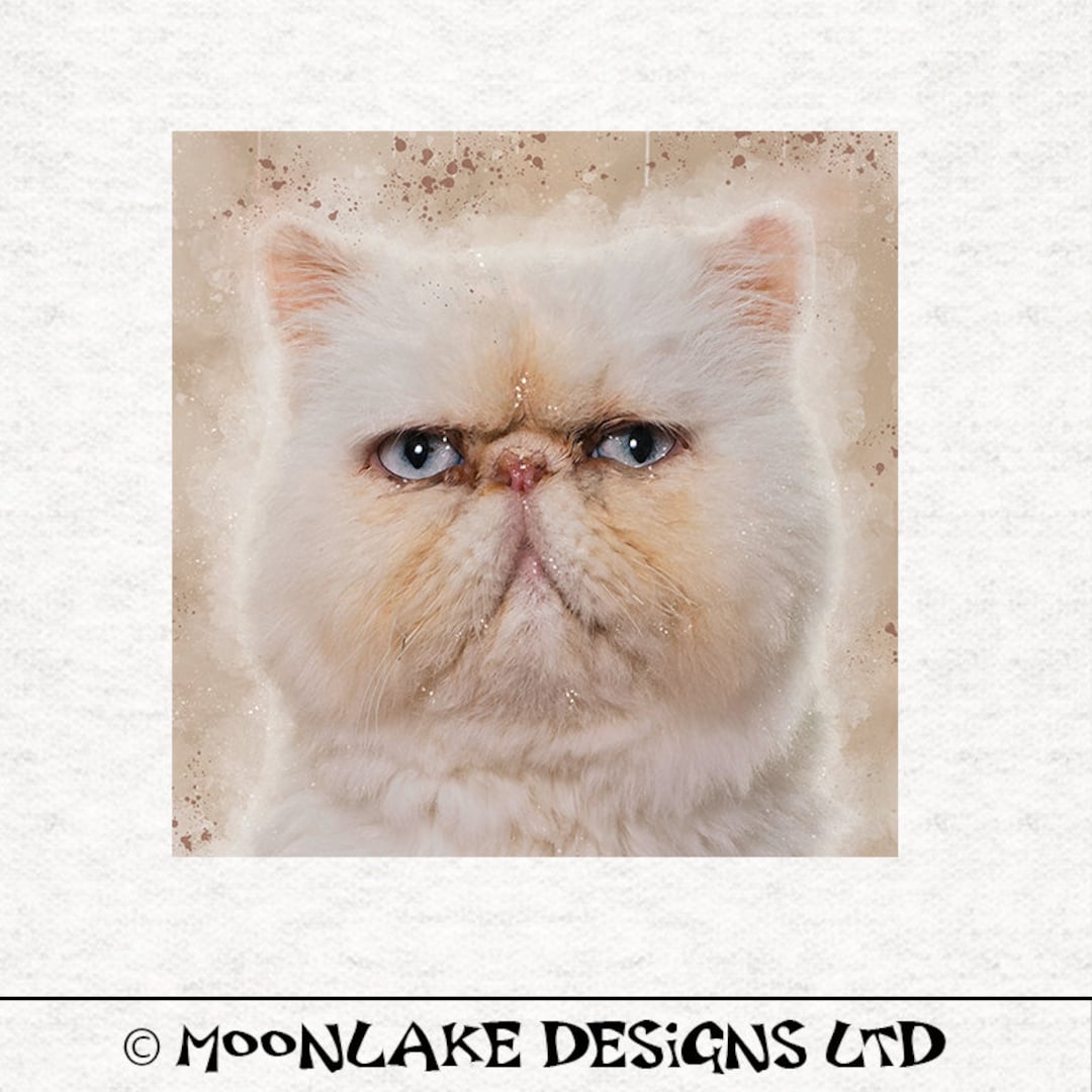 Persian Grumpy Cat, Watercolor Grunge Splatter | Quilting | Sewing ...