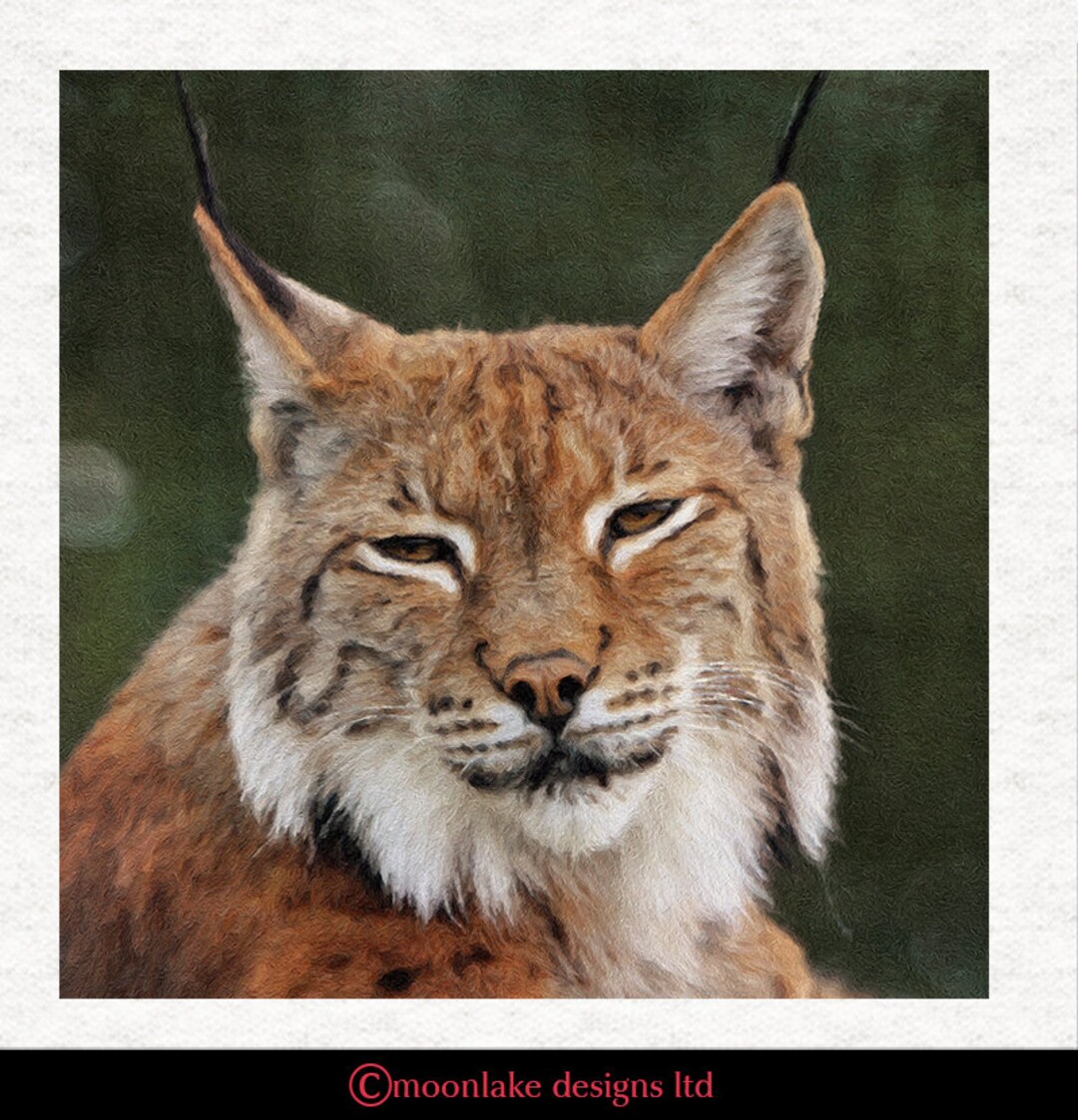 Lynx Portrait, Painted Lynx. | | Fabric Craft Panels in 100% Cotton or ...