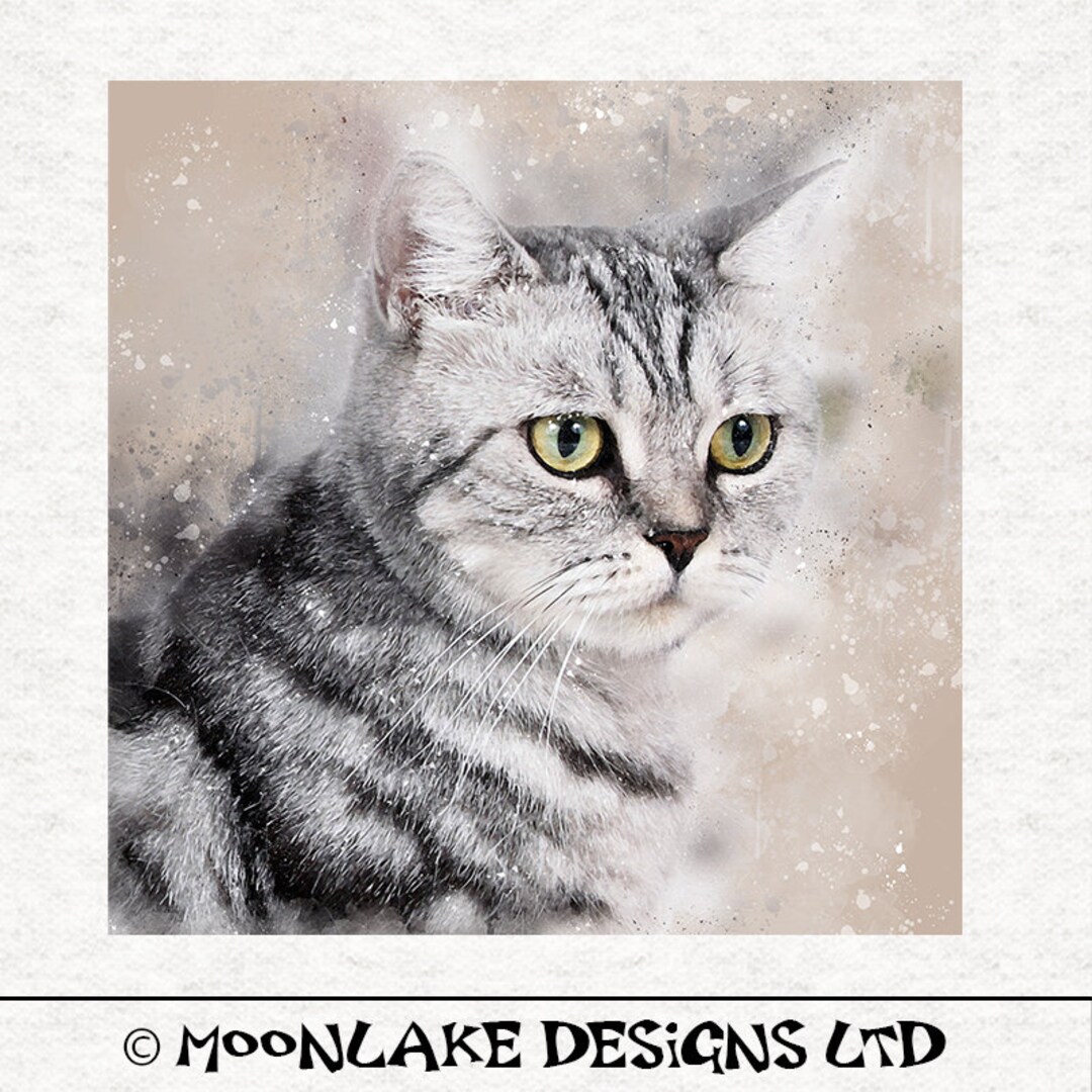 Silver Tabby Cat Fabric | Upholstery | Sewing | Craft | Printed Fabric ...