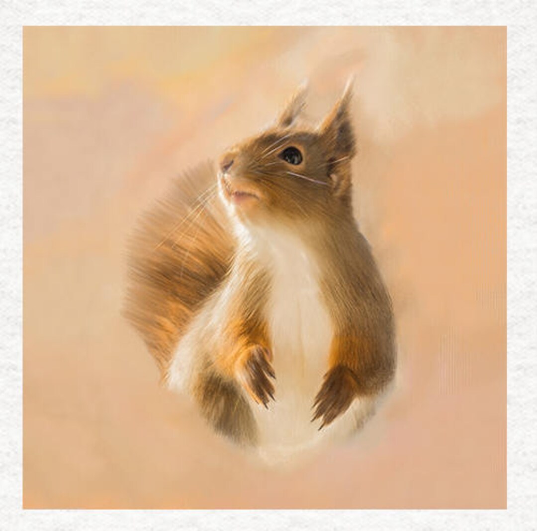 Squirrel, |fabric Craft Panels 100% Cotton or Polyester - Etsy