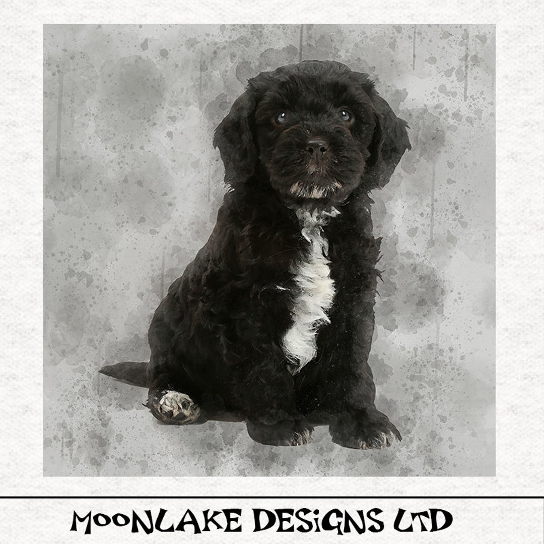 Cockapoo Puppy, Watercolour Splatter Grunge Fabric Craft Panels in 100% ...
