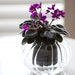 Small 'retro' Self-watering Glass Pot by Cup O Flora - Etsy