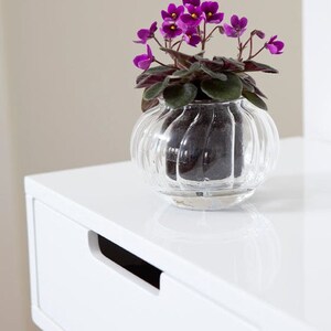 Small 'retro' Self-watering Glass Pot by Cup O Flora - Etsy