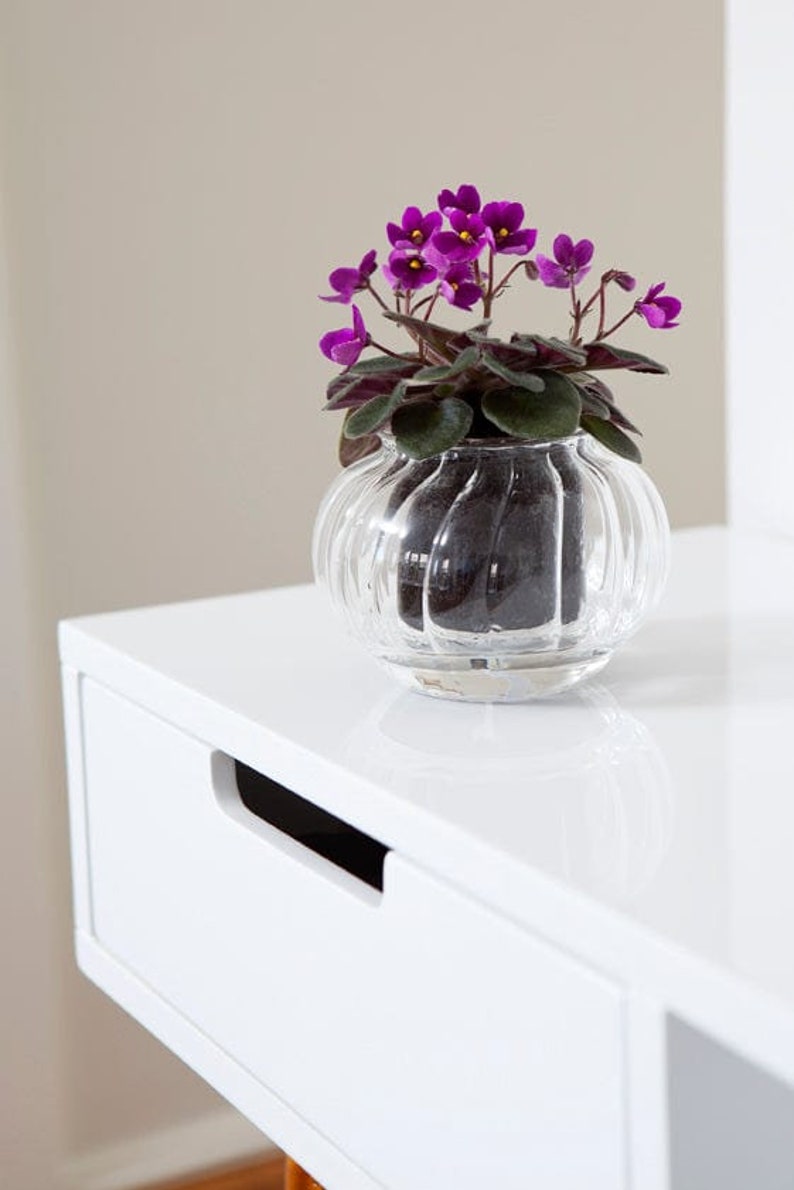 Small 'retro' Self-watering Glass Pot by Cup O Flora - Etsy