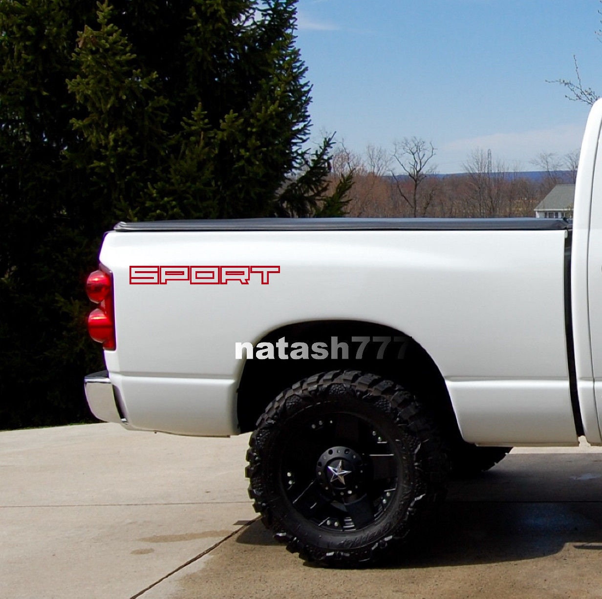Ram 1500 R T Decals