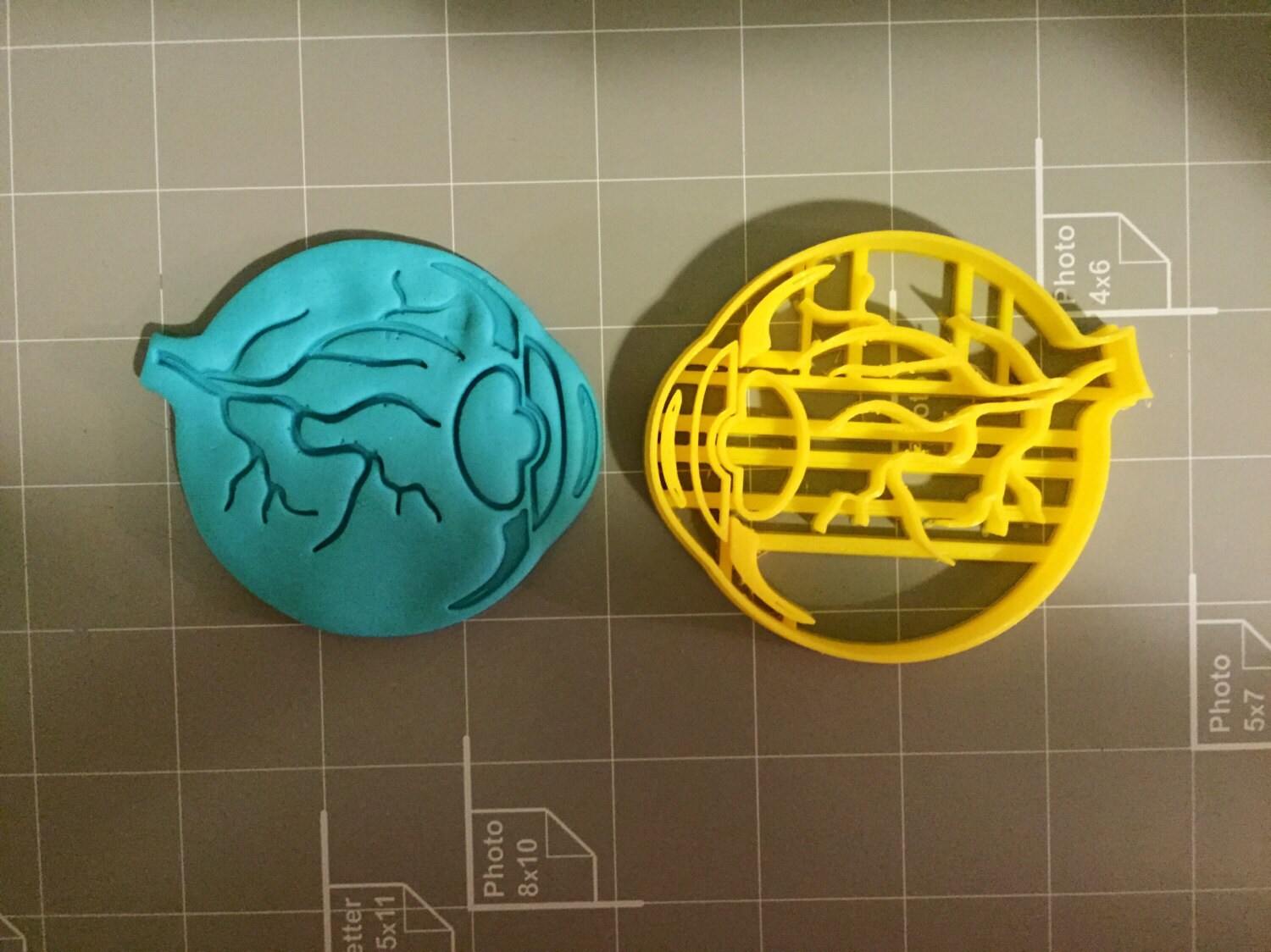 Eye Anatomy Cookie Cutter- Fast Shipping - Sharp Edges - Exceptional ...