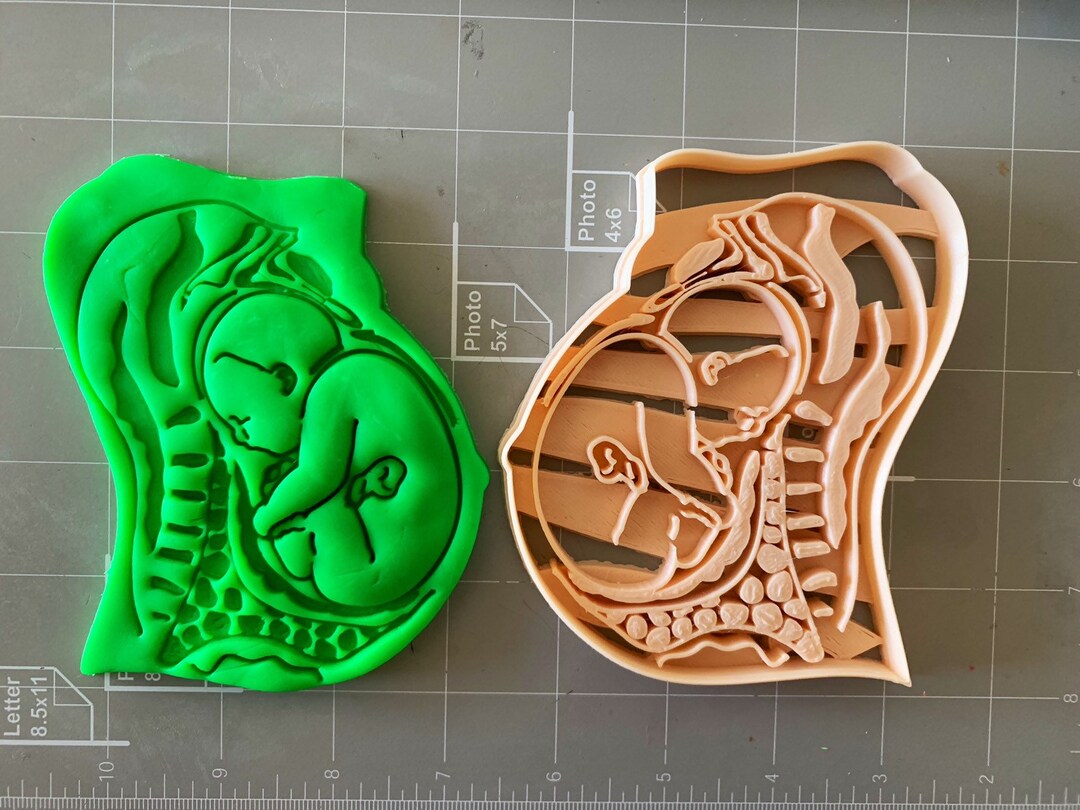 Pregnant Womb Fetus Anatomy Cookie Cutter Maternity Cookie Cutter Fast ...