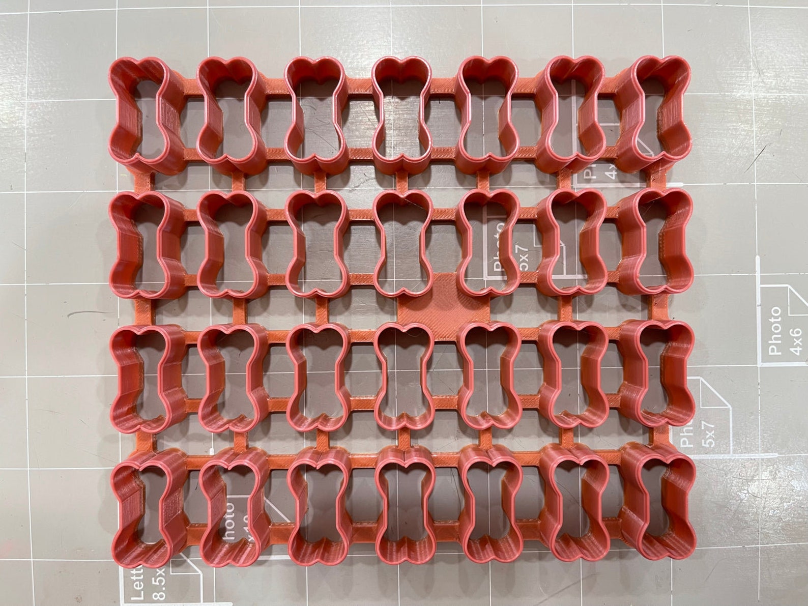 Dog Bone Multicutter (1"x 28 Bones)- Fast Shipping - Sharp Edges ...