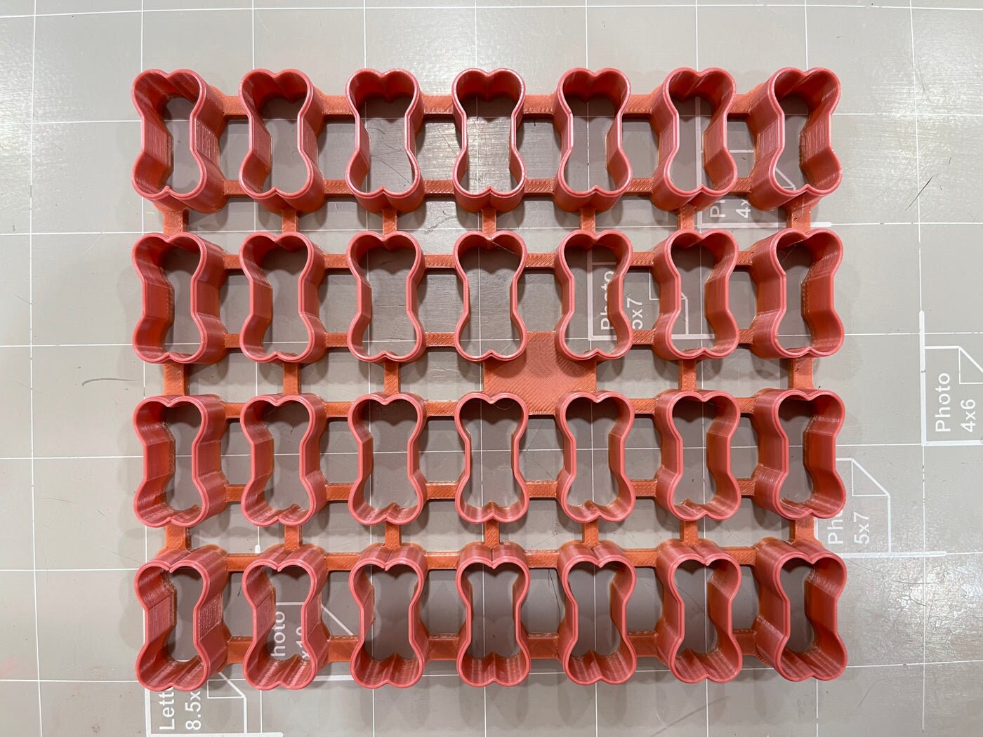 Dog Bone Multicutter (1"x 28 Bones)- Fast Shipping - Sharp Edges ...