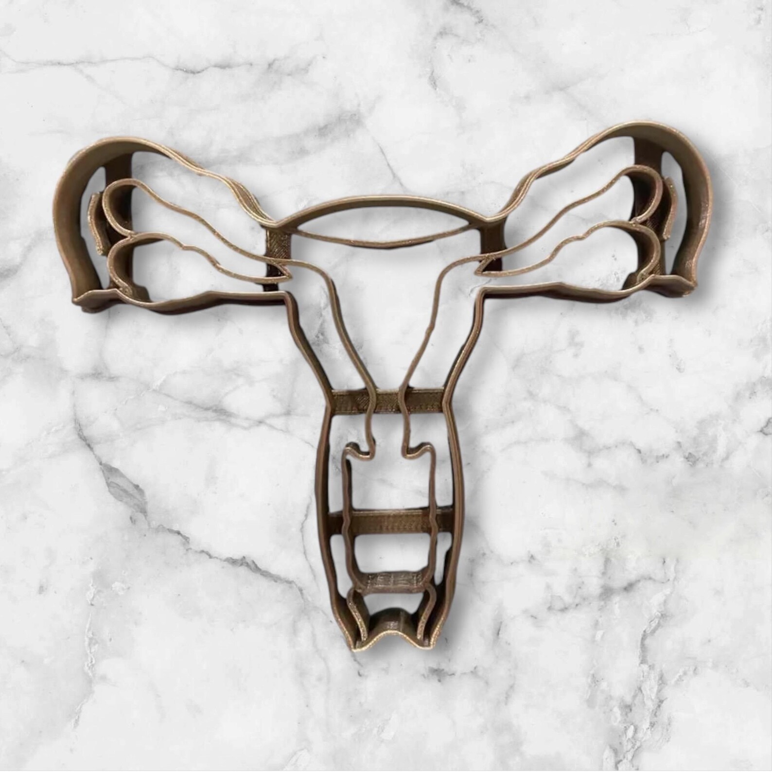 Female Anatomy Cookie Cutter- Fast Shipping - Sharp Edges - Exceptional ...