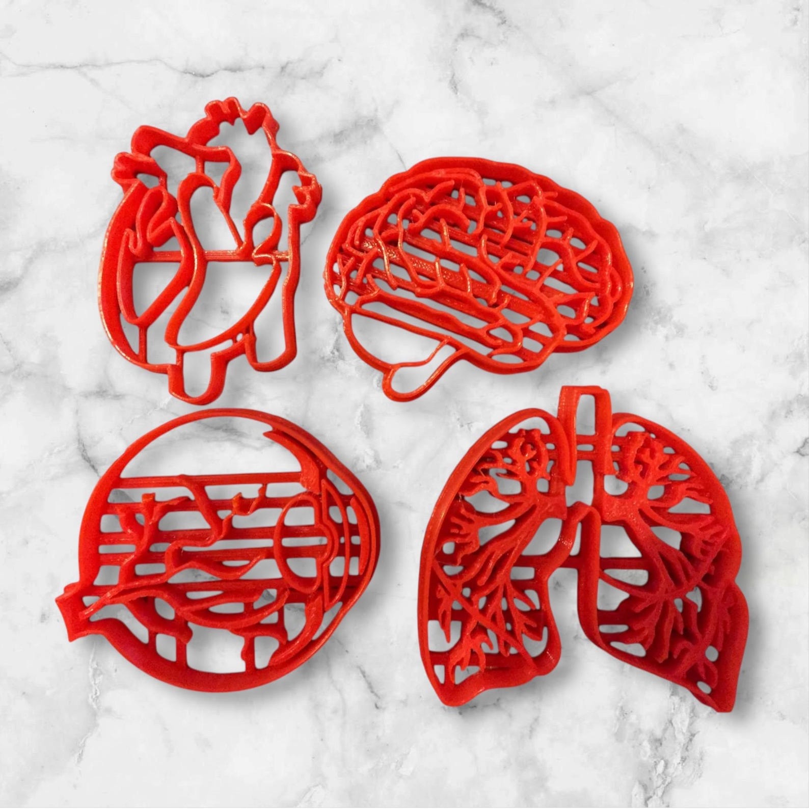 Human Tissue Anatomy Cookie Cutter (set of 4)- Fast Shipping - Sharp ...