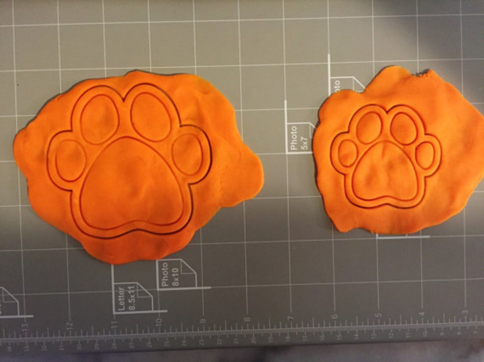 Dog Paw Cookie Cutter Choose Your Size Fast Shipping | Etsy