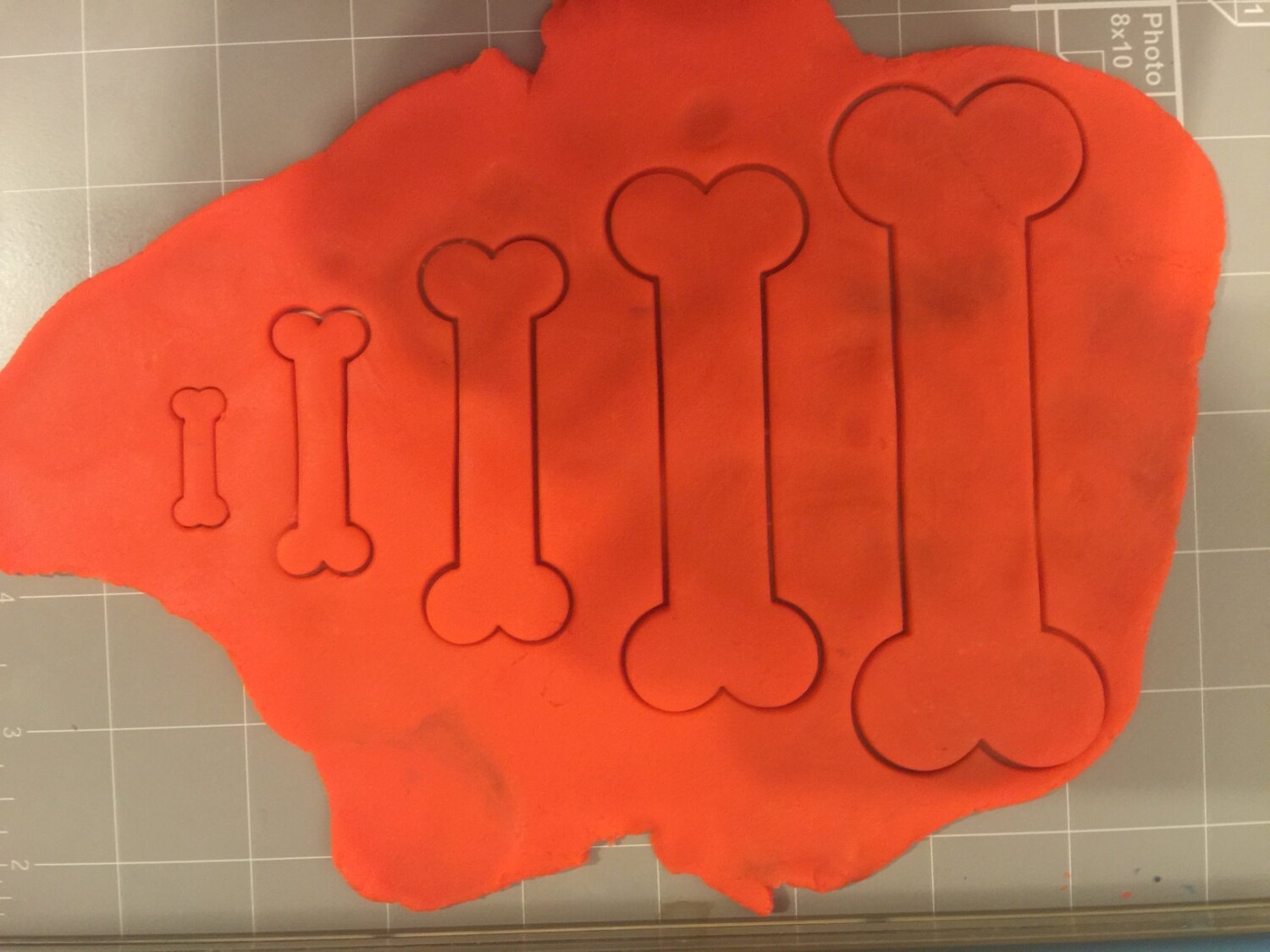 Dog Bone Cookie Cutter – Small to Large Sizes- Fast Shipping - Sharp ...