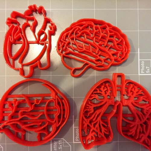 Human Tissue Anatomy Cookie Cutter set of 4 Fast Shipping - Etsy