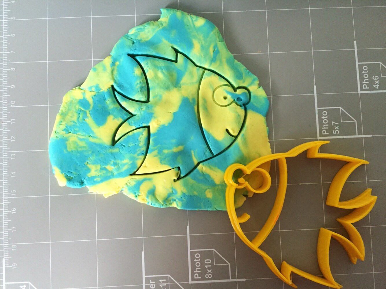 Fish Cookie Cutter (2)- Fast Shipping - Sharp Edges - Exceptional ...