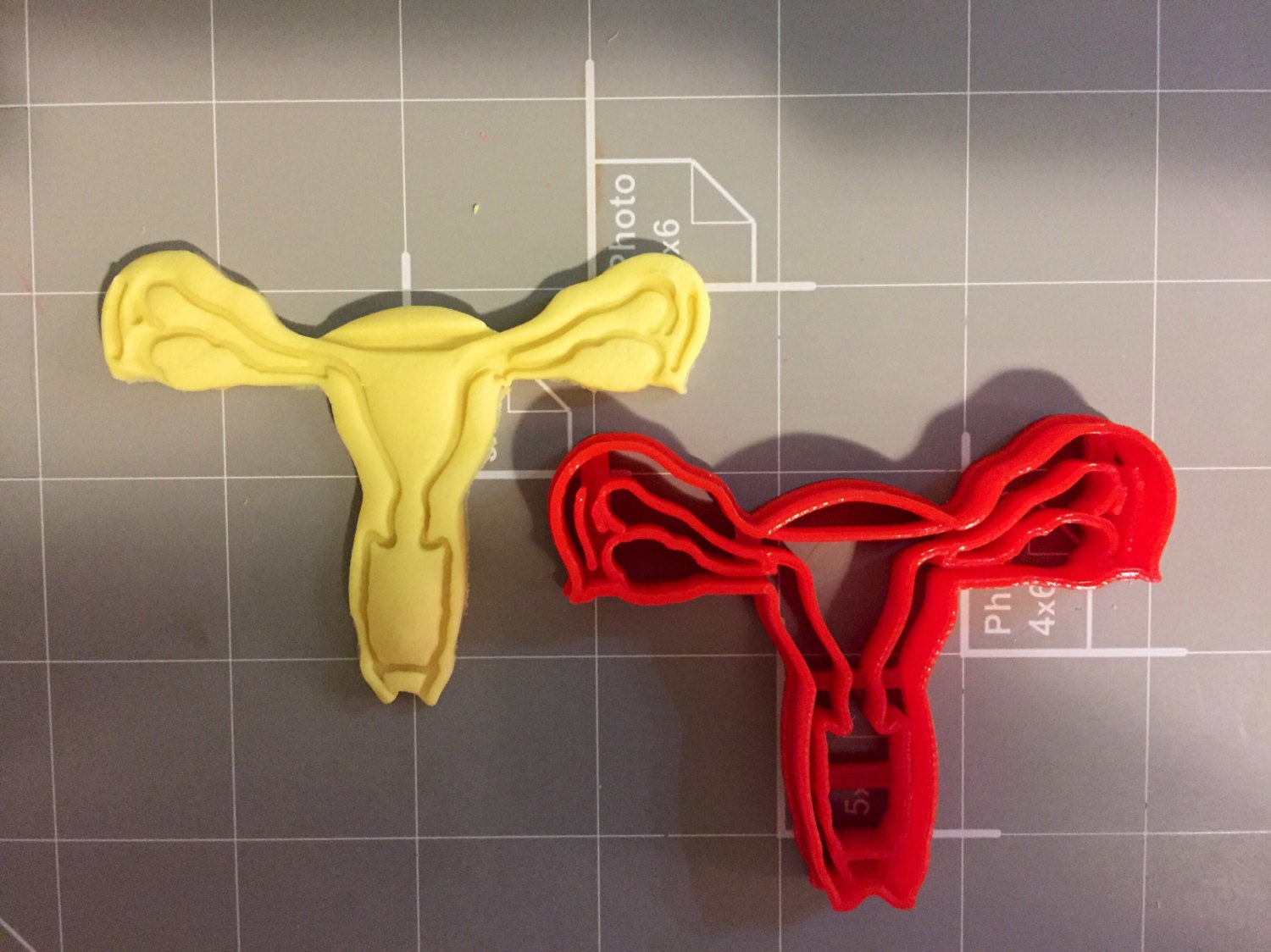 Female Anatomy Cookie Cutter Fast Shipping Sharp Edges | Etsy