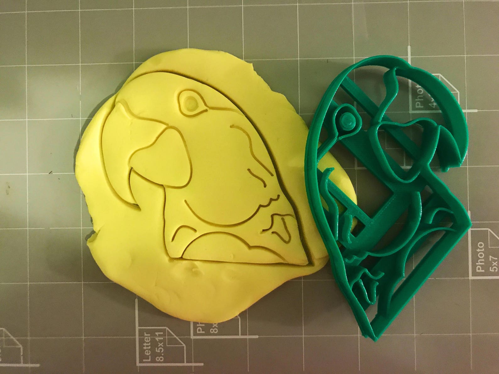 Parrot Cookie Cutter- Fast Shipping - Sharp Edges - Exceptional Quality ...