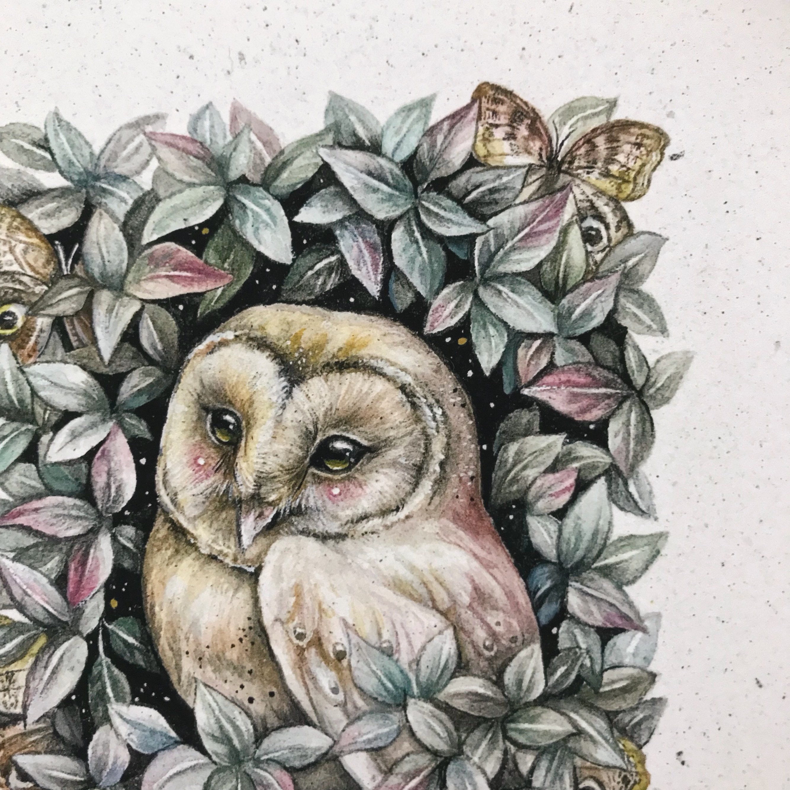 Barn Owl and Owl Moth 4x5 Fine Art Print | Etsy