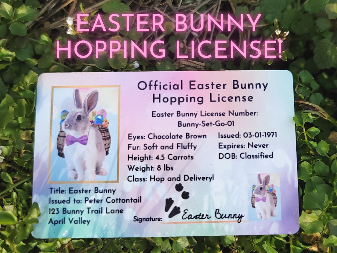 Easter Bunny Hopping License, Easter Gift, Easter Bunny License, Easter ...