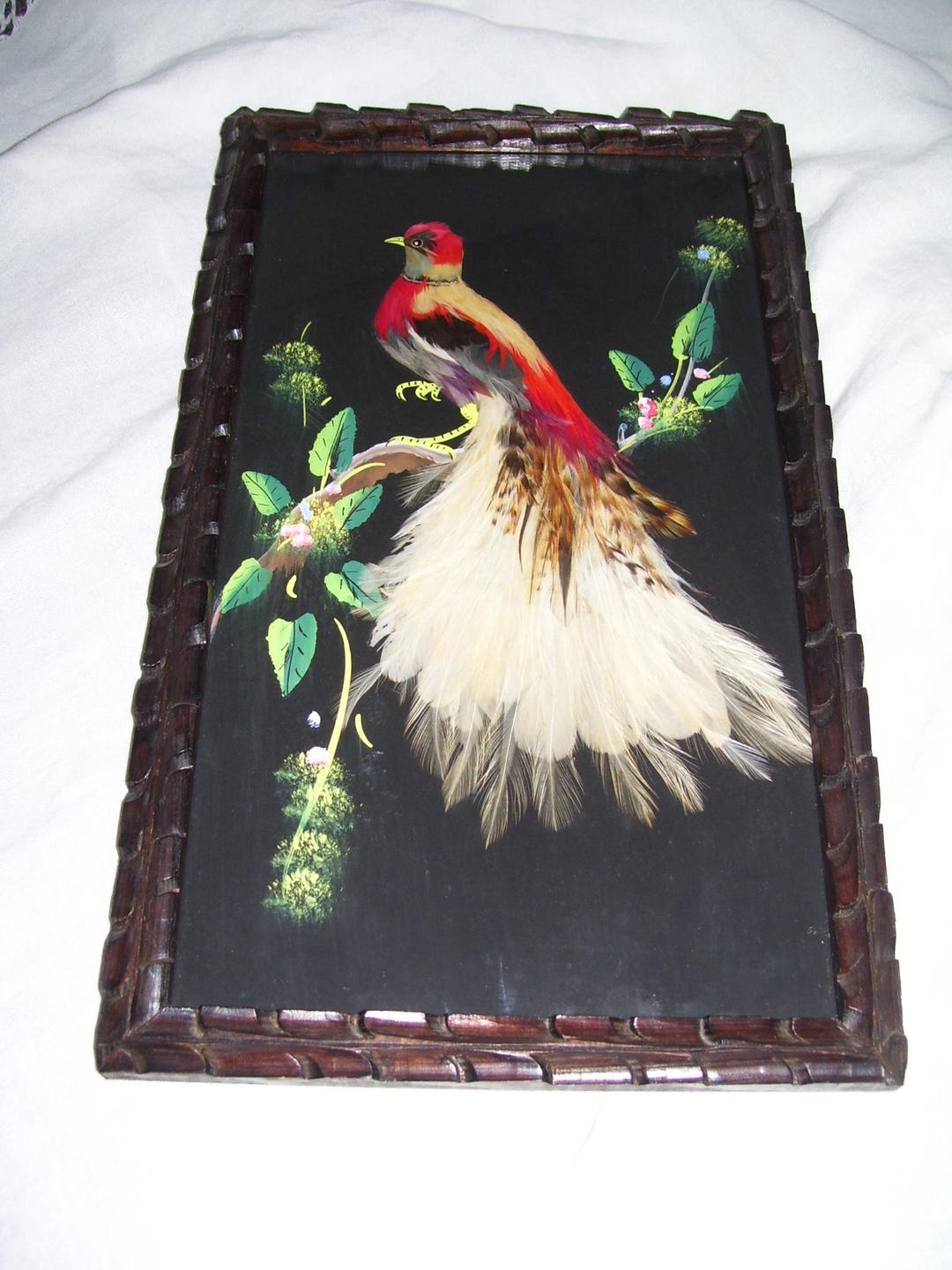Mexican Feather Art Bird Feather Art Parrot Feather Art Framed With ...