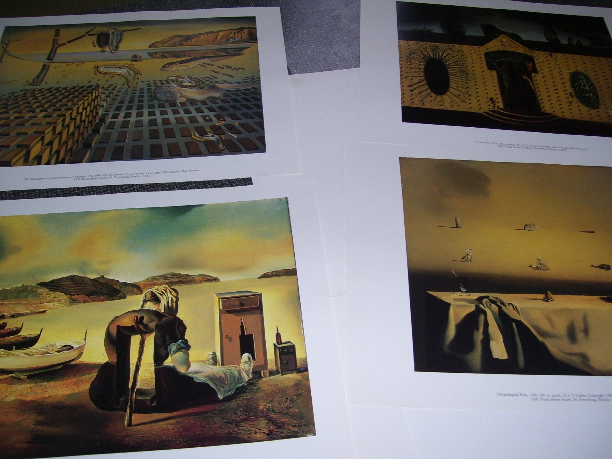 Complete Portfolio of Works from The Salvador Dali Museum St. | Etsy