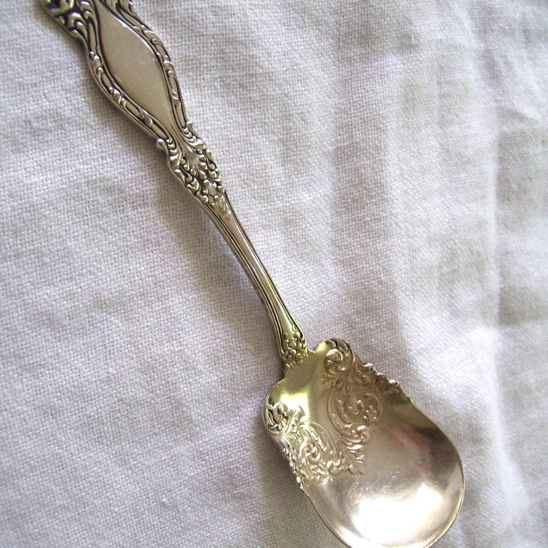 Berry Spoons - Etsy
